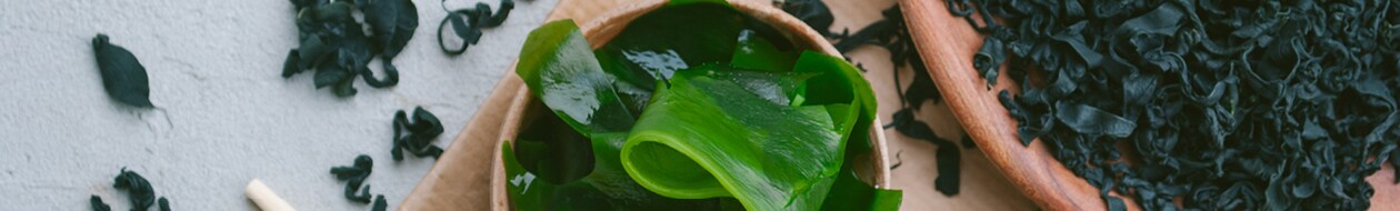 A Guide to Edible Seaweed for your Next Meal